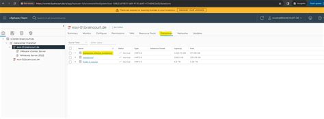 set up iscsi virtual disks as shared storage for an esxi host cluster