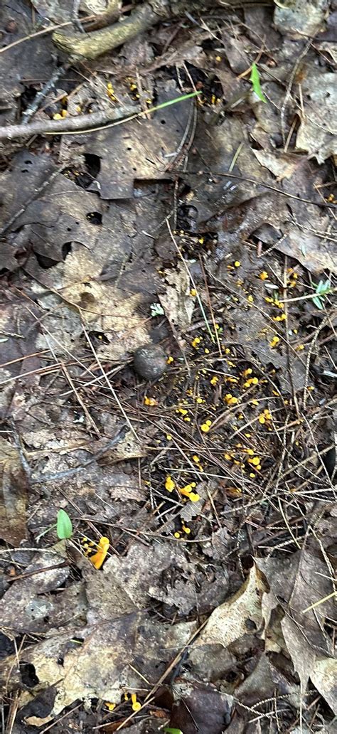 How Long Should We Wait To Return Rmycology