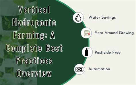 Vertical Hydroponic Farming A Complete Best Practices Overview