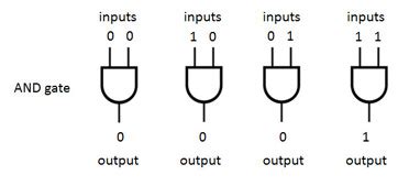 Arithmetic Logic Unit ALU Definition Function Operation Lesson Study Com