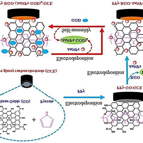 Schematic Illustration Of A Glucose Biosensor Using The Polypyrrole And