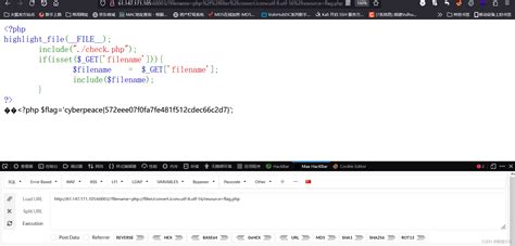 每天一道ctf（web方向） Csdn博客