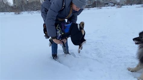 Msu Video Frame Interpolation Benchmark Dataset