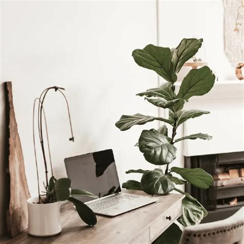 What To Write In A Newsletter Expert Examples