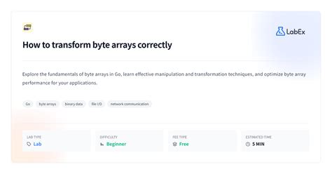 How To Transform Byte Arrays Correctly Labex