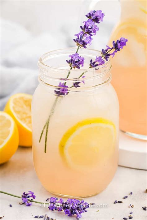 Lavender Lemonade Recipe Pink Lavender Lemonade Fresh Lavender