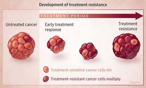 The Evolution Of A Cancer Oncology Jama Oncology Jama Network