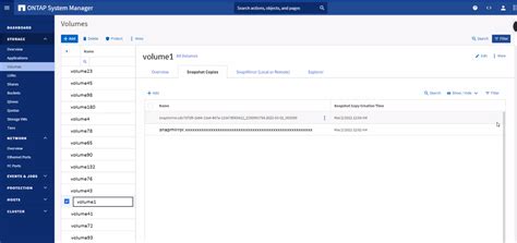 can ontap system manager show more verbose information in the snapshot copies tab netapp