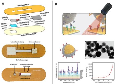 Recent Advances In Portable Or Wearable Devices For Automatic And Rapid