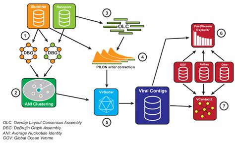 Bioinformatics Pipeline For Virion Reads And Complementary Short Read Download Scientific
