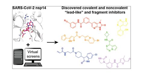 Structure Based Discovery Of Inhibitors Of The Sars Cov 2 Nsp14 N7 Methyltransferase Journal