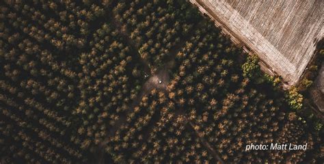 How To Buy Hunting Land OnX Hunt