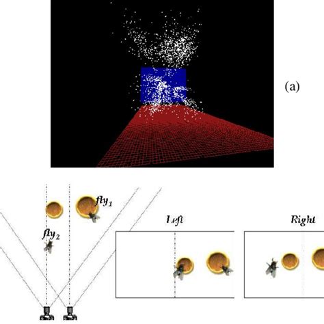 A The Space Of The Fly Algorithm The Scene Model Is Represented As