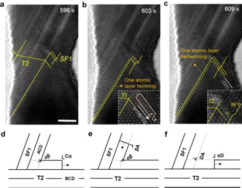 Twin Thickening And De Twinning Process Of Twin Twin Intersection