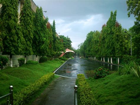 The Official Website Of Csir National Environmental Engineering Research Institute Government