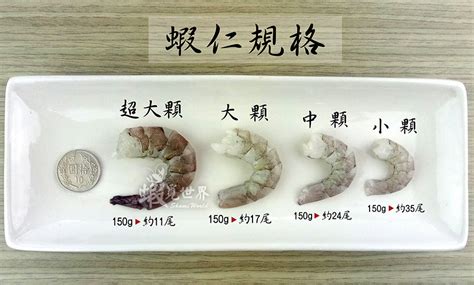 中顆 生鮮無膨發蝦仁約23 30顆150g