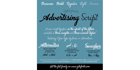 Advertising Script Font Zetafonts FontSpace