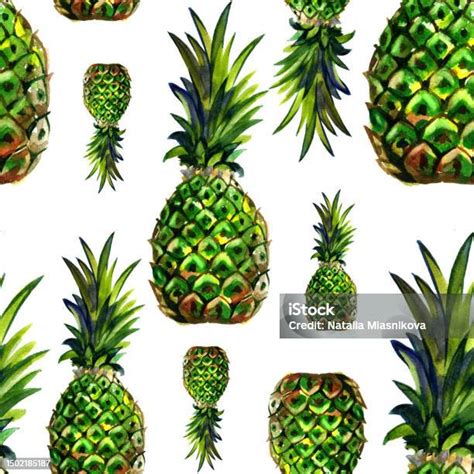 흰색 바탕에 수채화 여름 녹색 파인애플 패턴입니다 봄 과일 배경입니다 0명에 대한 스톡 벡터 아트 및 기타 이미지 0명