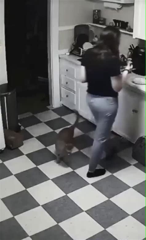 hmc she s going down r holdmycatnip