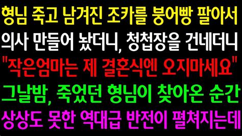 실화사연 형님 죽고 남겨진 조카를 붕어빵 팔아 의사 만들어 놨더니 청첩장 주며 작은엄마는 결혼식 오지마세요” 그날밤 죽은 형님이 찾아온 순간 상상도 못한 대반전이 펼쳐
