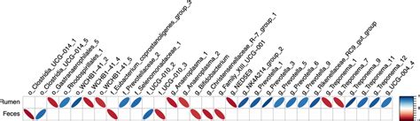 Correlation Analysis Showing Strong Associations Between Differentially