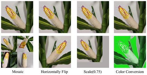 Yolov8ms Algorithm For Solving Difficulties In Multiple Object Tracking Of Simulated Corn