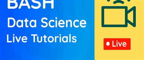 Scientific Programming School Dev Community