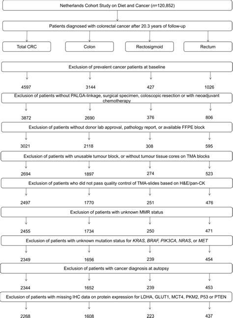 Flow Diagram Of The Number Of Crc Patients Available For Analyses In