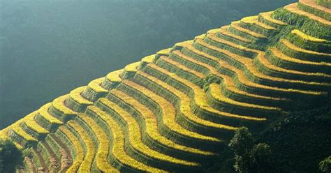 What Are Managed Security Service Providers Why You Need One And Where To Start Gdit