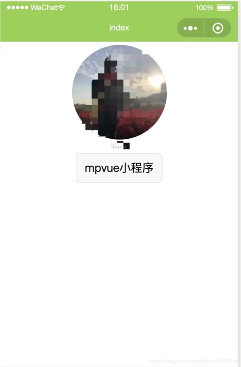 Mpvue 開發微信小程序（一） 環境搭建和index頁面 Csdn博客