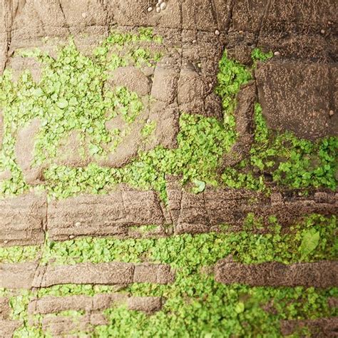 Vertex Painting Community Tutorial