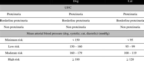 Iris Sub Stages Of Ckd In Cats And Dogs Download Scientific Diagram