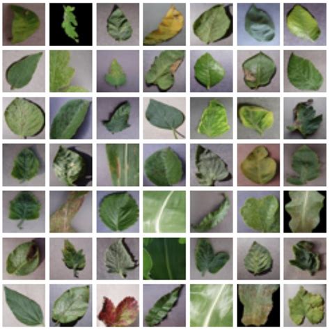 Basic Image Processing Steps In The Detection Of Rice Plant Diseases Download Scientific Diagram