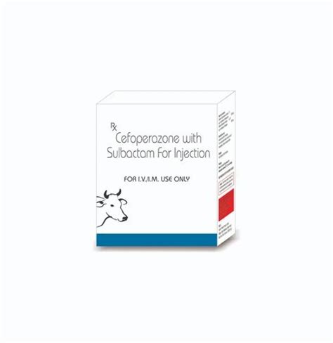 Amoxicillin Potassium Clavulanate Injection 1 2 Gm At ₹ 120 Box In Kala Amb Industrial Area