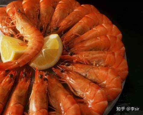 中国到底哪里的虾最好吃 知乎