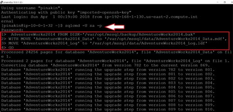 Migrate Sql Server Database From Windows To Sql Server On Linux In