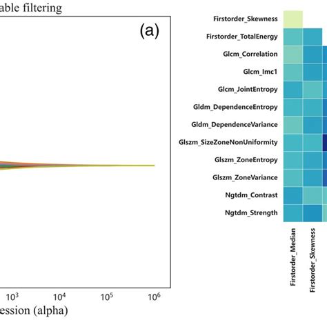 Variable Screening For Radiomic Signatures A Lasso Method To Screen Download Scientific