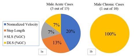 Spatiotemporal Parameters Of Gait Among Adolescent Athletes With Concussion When Performing A