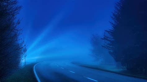 Neurips 2019 基于图自编码器的因果结构学习模型 知乎