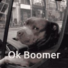 Boomer S Tenor