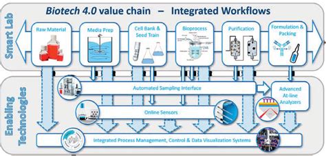 Schematic Representation Of Workflows Systems And Data Interfaces In Download Scientific