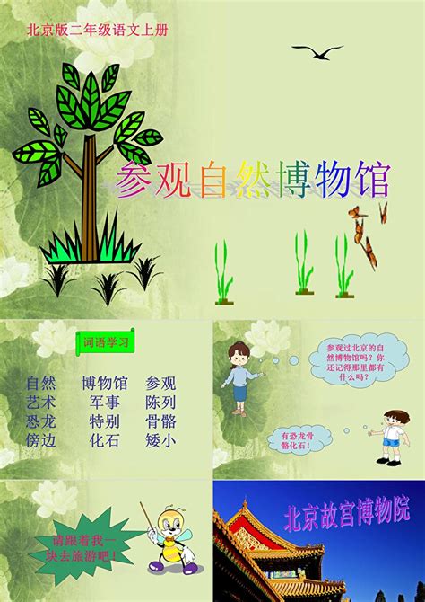 参观自然博物馆课件北京版二年级语文上册课件PPT 卡卡办公
