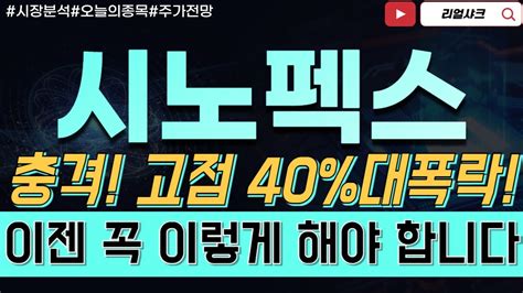 시노펙스 주가전망 고점에서 40폭락 이젠 꼭 이렇게 해야 합니다 Youtube