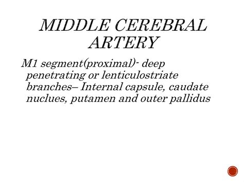 Clinical Stroke Syndromes Pptx