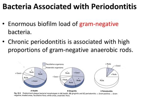 Diagram Of Sem 1 Microbio Quiz 2 Quizlet