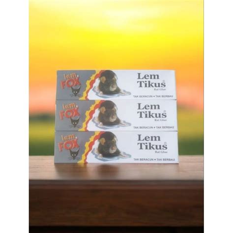 Jual Lem Tikus Lem Fox Tikus Shopee Indonesia
