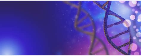 Runx1 Research Program