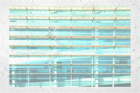 시금치의 효능과 장점 5가지 소개 네이버 블로그