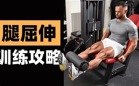详细拆解：如何做一个标准的腿屈伸 Up健身 Up健身 哔哩哔哩视频