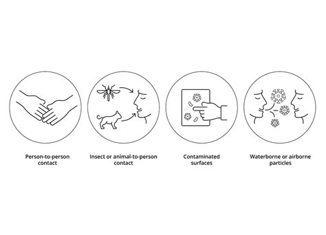 Testing For Infectious Diseases The Basics